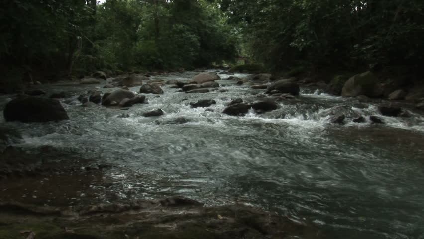 small river stream running through tropical Stock Footage Video (100% ...