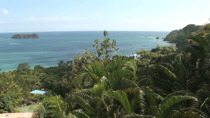 shot ocean tropical rain forest foreground Stock Footage Video (100% ...