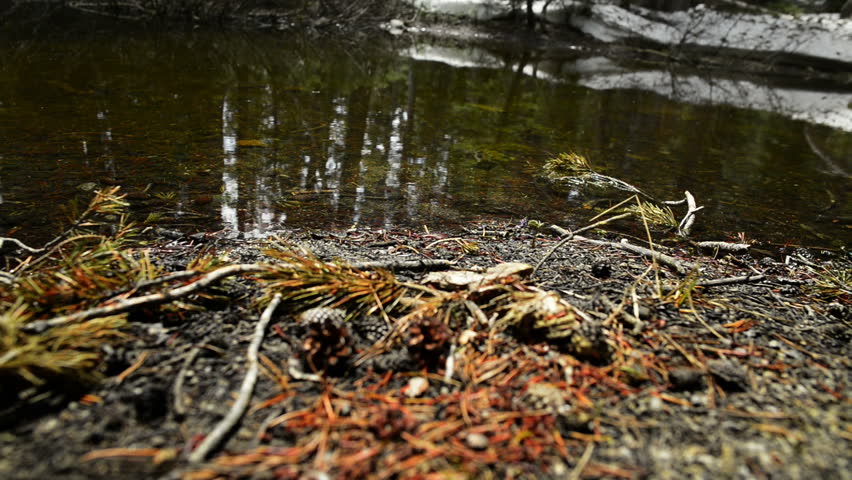 grilled meat forest nature family holidays Stock Footage Video (100% ...