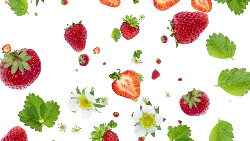 strawberries falling down on white background Stock Footage Video (100% ...