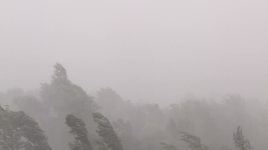 Very Strong Wind and Rain Stock Footage Video (100% Royalty-free ...