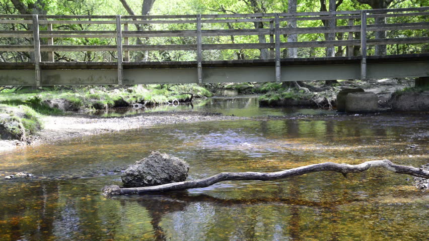 Slow Moving Stream Flows Under Stock Footage Video (100% Royalty-free ...
