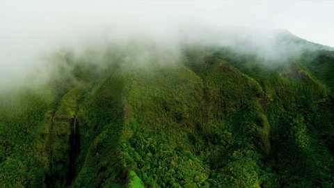 aerial view flying between palms trees Stock Footage Video (100% ...