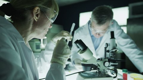 Mature Male Female Scientists Researchers Working Stock Footage Video ...