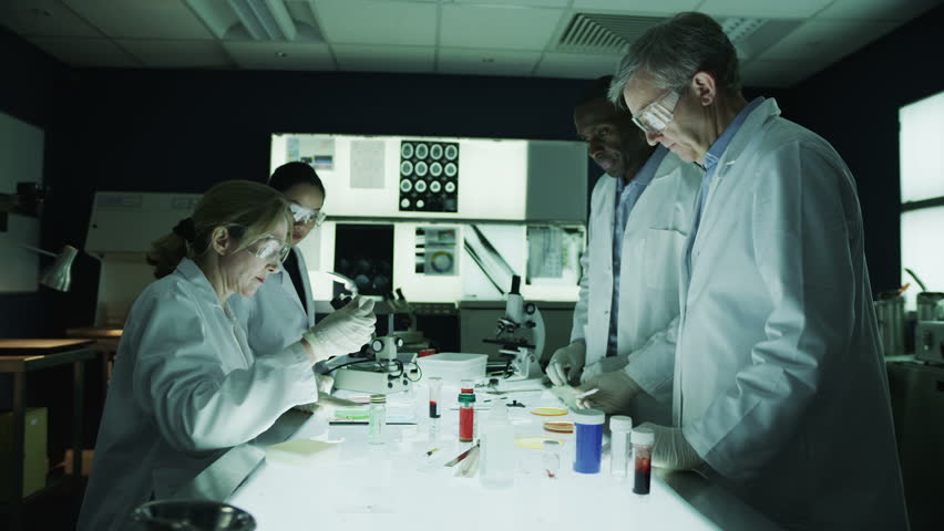 diverse team scientists researchers working together Stock Footage ...