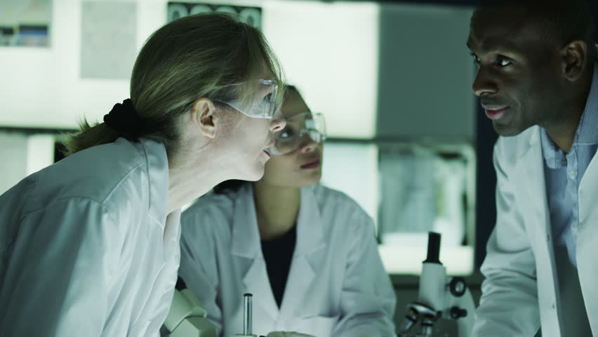 diverse team scientists researchers working together Stock Footage ...