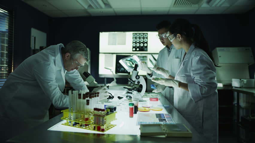 diverse team scientists researchers working together Stock Footage ...