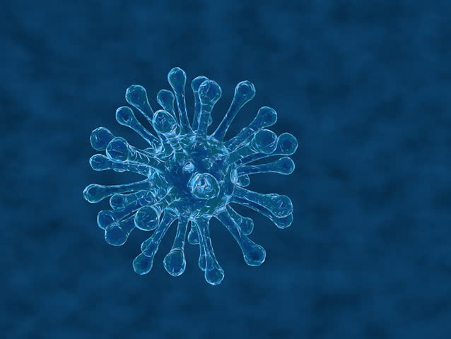 3d rendered virus multiplication animation Stock Footage Video (100% ...