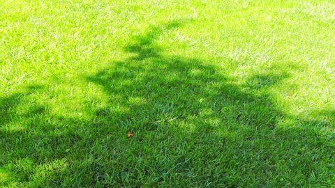 artificial grass texture camera pan animated Stock Footage Video (100% ...