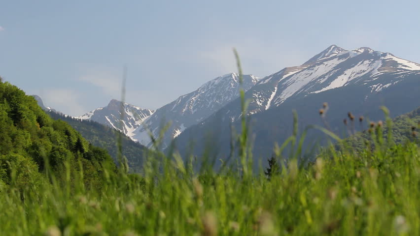 splendid scenery green grass spring breeze Stock Footage Video (100% ...