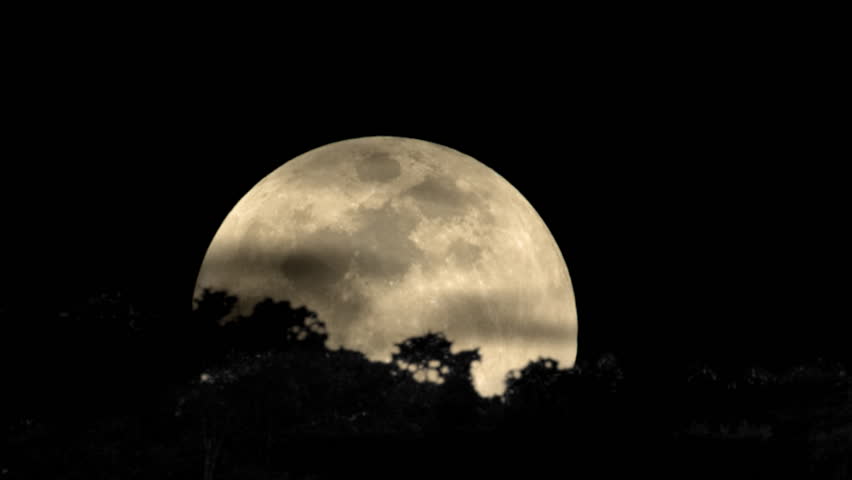 Full Moon Rising Stock Footage Video (100% Royalty-free) 4472420 ...