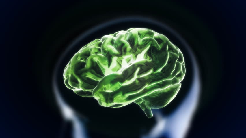 The Crystal Brain Inside the Stock Footage Video (100% Royalty-free ...