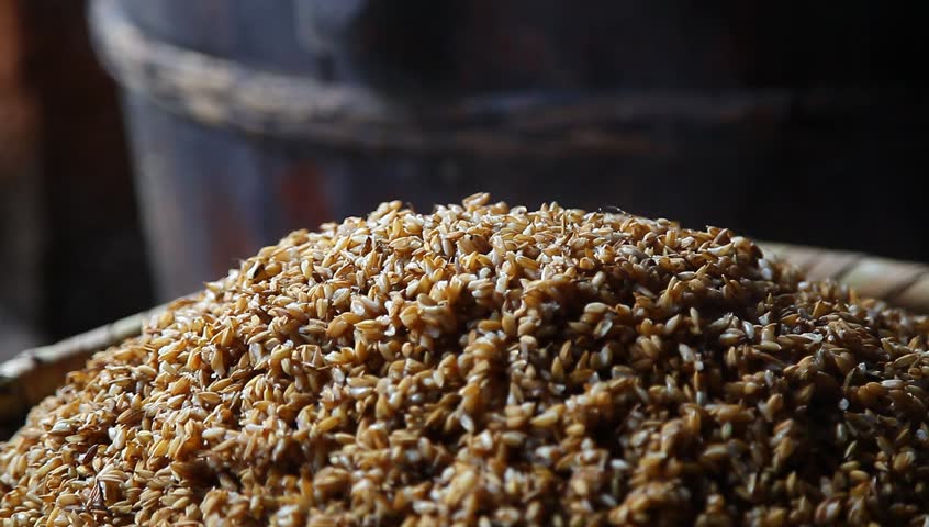 steamed rice shell traditional method wine Stock Footage Video (100% ...