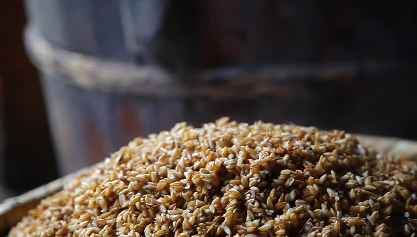 steamed rice shell traditional method wine Stock Footage Video (100% ...