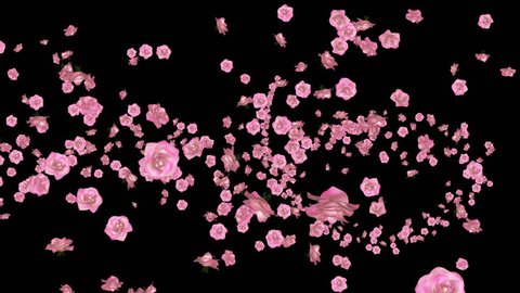 Pink Petal Explosion Animation Happy Scenes Stock Footage Video (100% ...