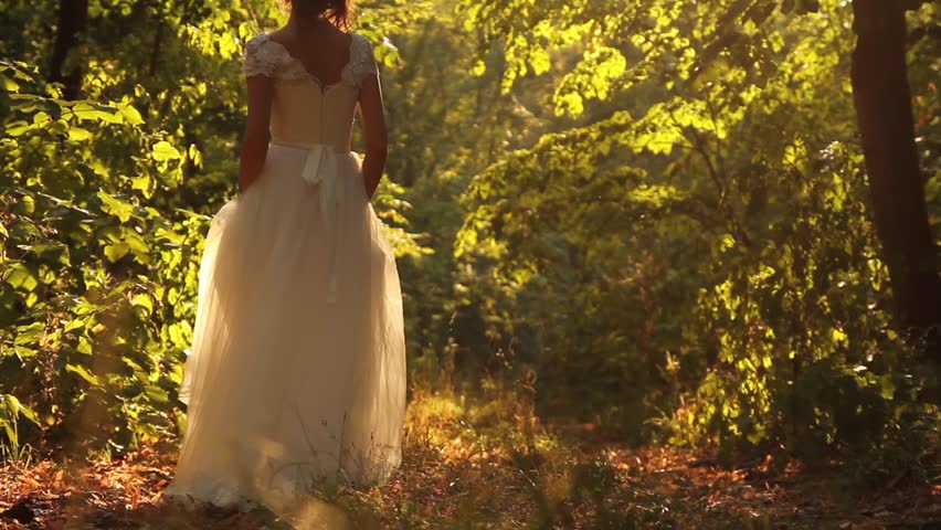 Beautiful Young Princess Walking Forest Stock Footage Video (100% ...