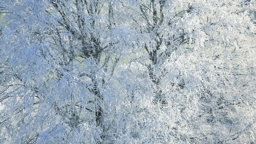 Sleet and Snow Blows Through Stock Footage Video (100% Royalty-free ...