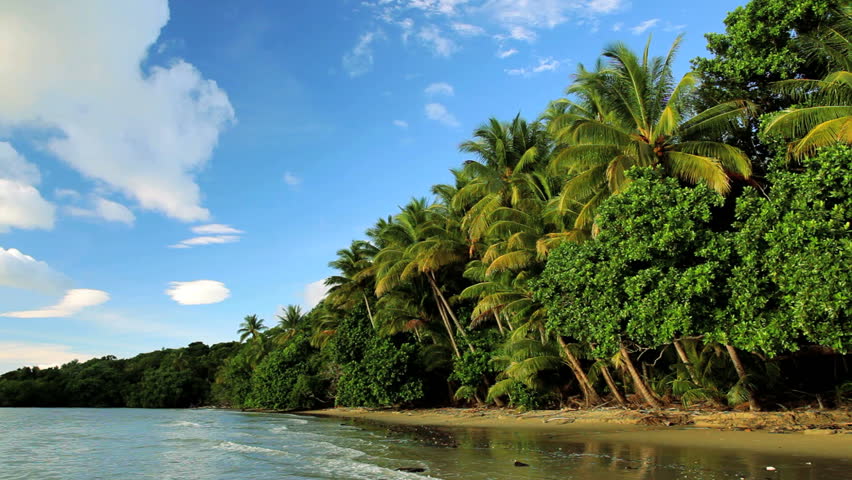 dolly shot tropical beach Stock Footage Video (100% Royalty-free ...