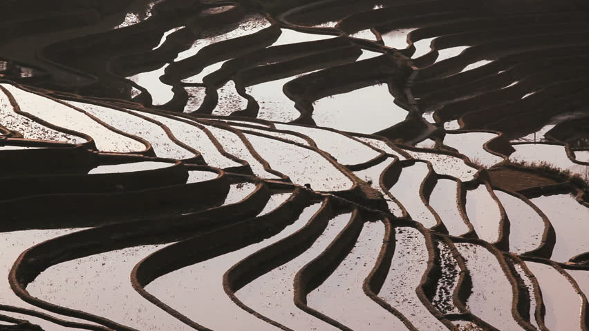 Terraced Rice Terraces and Irrigation Stock Footage Video (100% Royalty ...