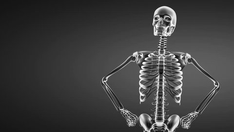 Loop Rotate Skeleton Stock Footage Video (100% Royalty-free) 4723031 ...