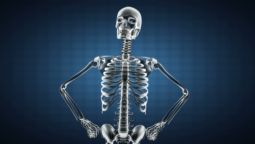 loop rotate skeleton Stock Footage Video (100% Royalty-free) 4723034 ...