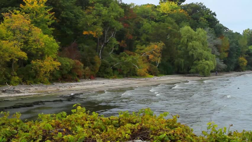 A Beautiful Scenery of Trees Stock Footage Video (100% Royalty-free ...