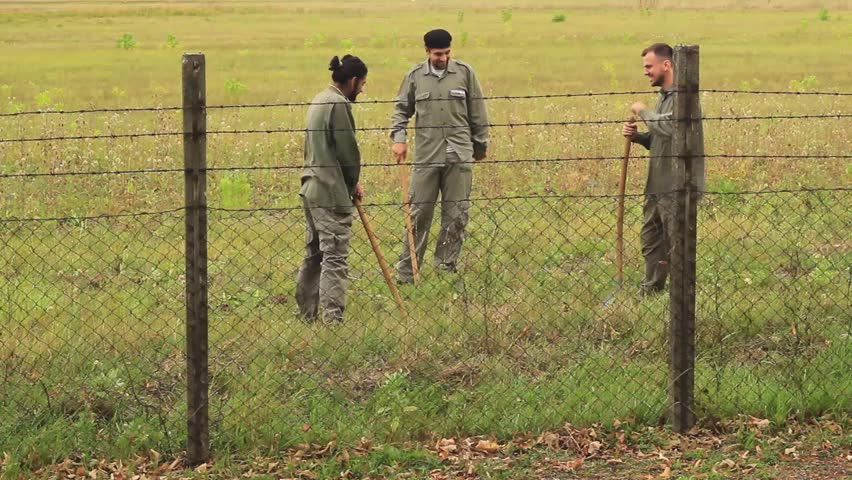 Prisoners Digging in the Field, Stock Footage Video (100% Royalty-free ...