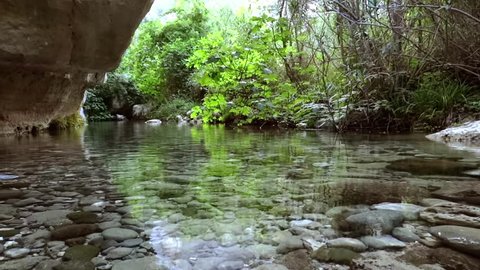 Sicily Anapo River Bioreserve Stock Footage Video (100% Royalty-free ...