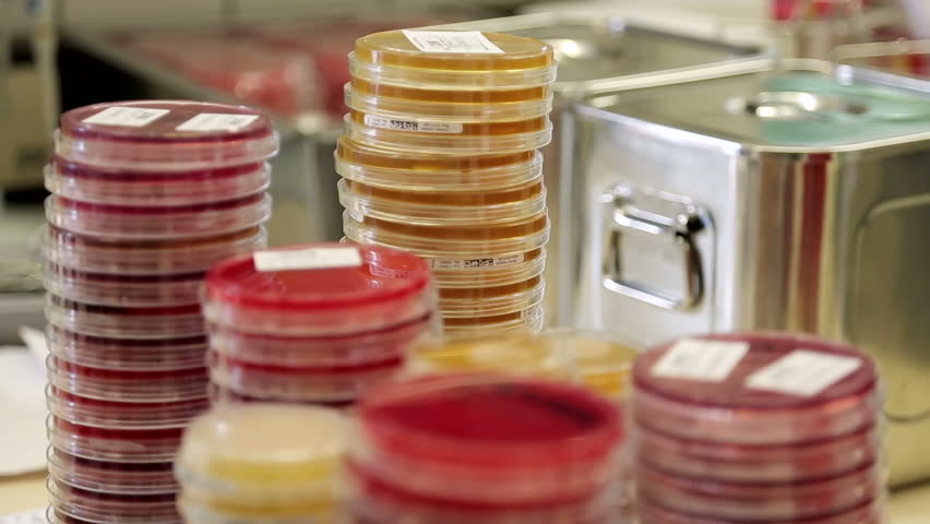 Laboratory Stuff Stock Footage Video (100% Royalty-free) 4866305 ...