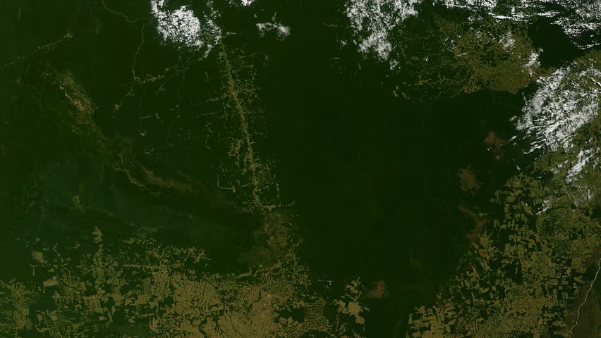 deforestation amazon rainforest - overpopulation Stock Footage Video ...