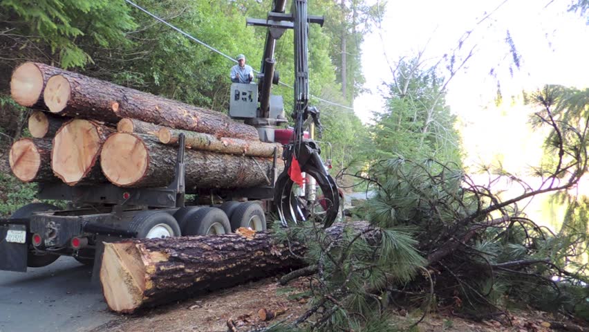 hydraulic crane positions logs aboard logging: วิดีโอสต็อก (ปลอดค่า ...