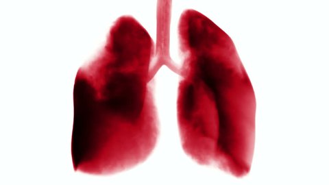Blood Red Smoke Shape Lungs Loopready Stock Footage Video (100% Royalty ...