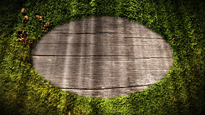 wooden plate animated moss background loop Stock Footage Video (100% ...