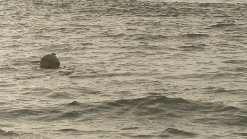 A Water Booey Bobs in Stock Footage Video (100% Royalty-free) 4960934 ...