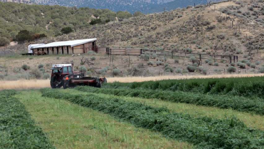 Farm Where Alfalfa Hay is Stock Footage Video (100% Royalty-free ...