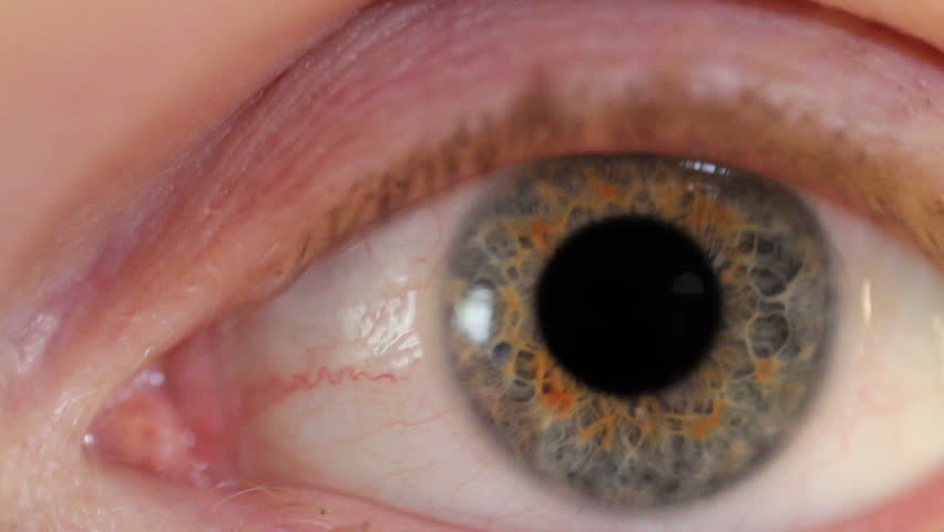 fast moving eye never blinking horror Stock Footage Video (100% Royalty ...