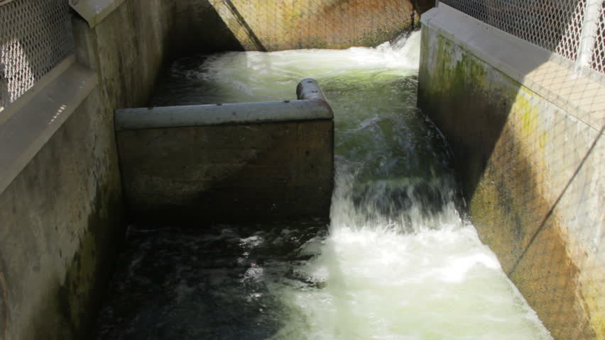 Ballard Locks Fish Ladder with Stock Footage Video (100% Royalty-free ...