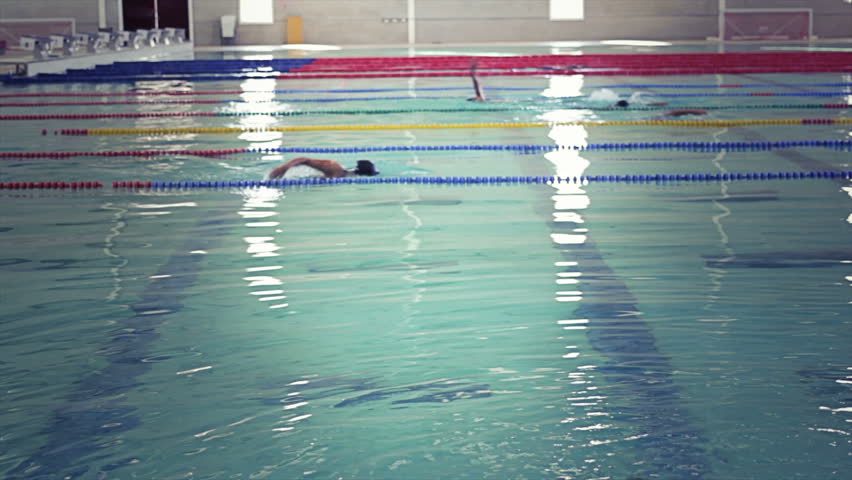 people swimming on olympic pool training Stock Footage Video (100% ...