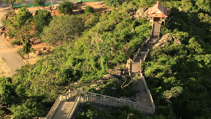 monkey family khao chong krajok prachuap Stock Footage Video (100% ...
