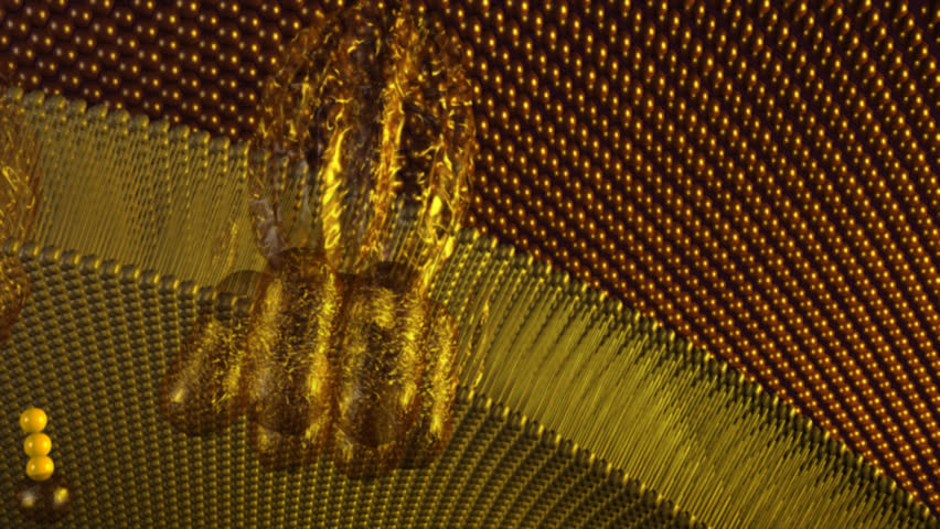 Close up Zoom of Entire Stock Footage Video (100% Royalty-free) 5027222 ...