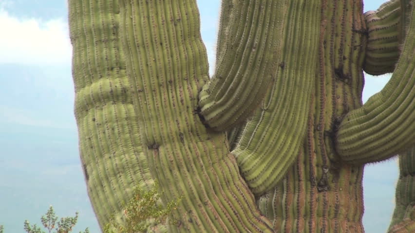 Zoom Out Opens Window On Desert Stock Footage Video (100% Royalty-free ...