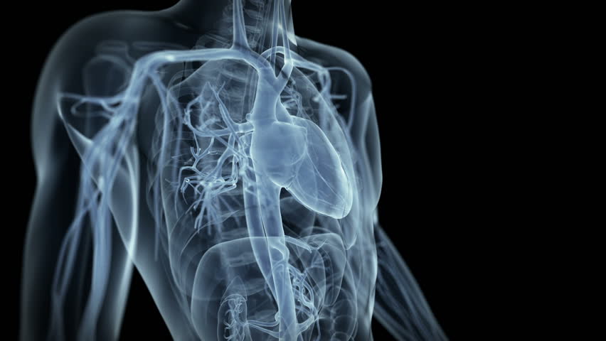 beating heart - sharp pain Stock Footage Video (100% Royalty-free ...