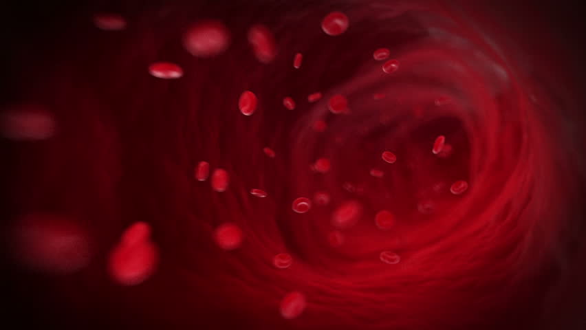 animation artery pumping blood through body Stock Footage Video (100% ...