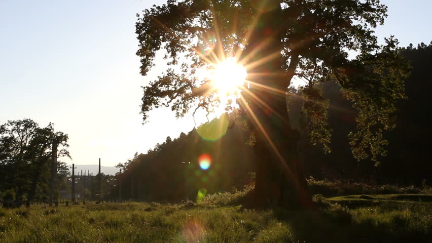 sun energy powerful rays shine through Stock Footage Video (100% ...