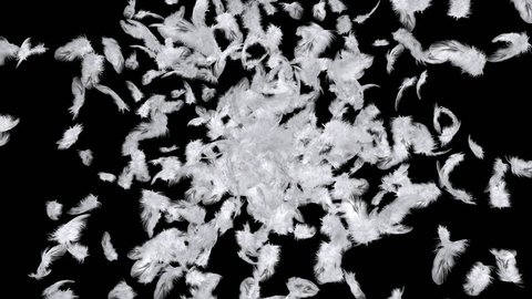 Explosion Feathers Stock Footage Video (100% Royalty-free) 5063840 ...