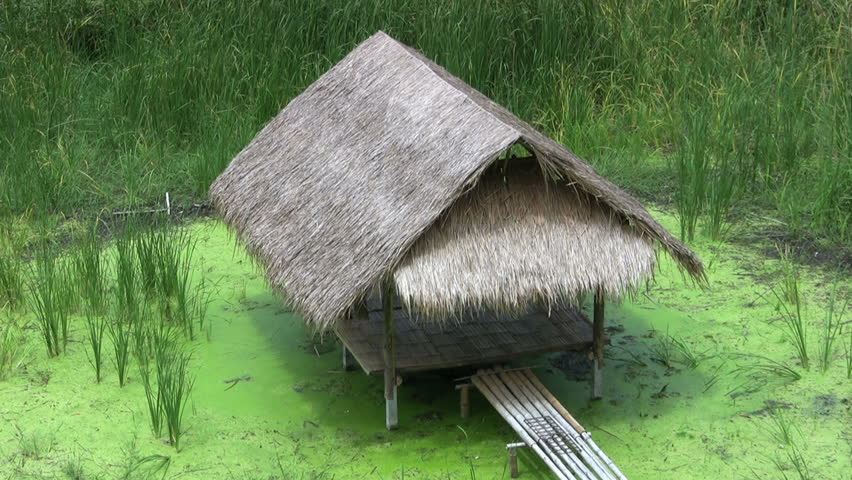lovely grass hut made bamboo situated Stock Footage Video (100% Royalty ...