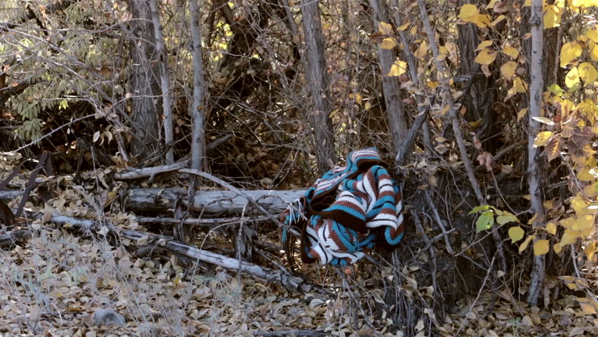 Homeless Man Sitting in Forest Stock Footage Video (100% Royalty-free ...