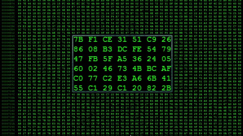 Green Hexadecimal Code Running up Stock Footage Video (100% Royalty-free) 5187392 | Shutterstock
