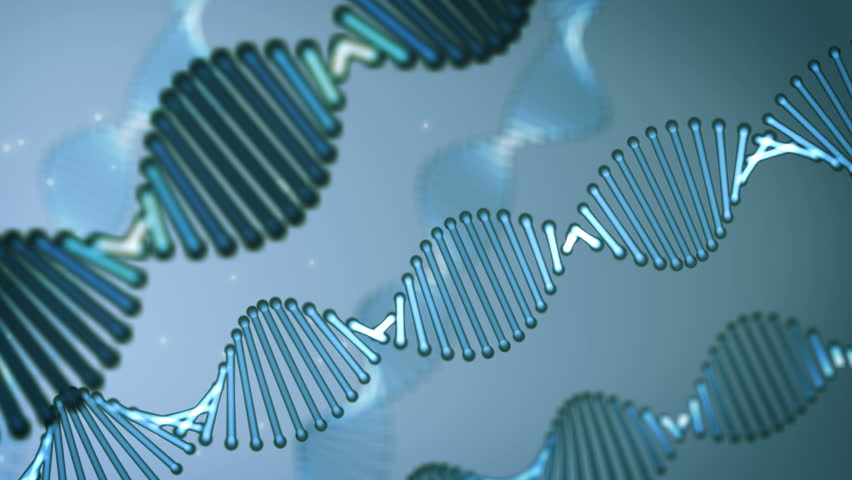 Dna Loop Animated Close up 库存影片视频（100% 免版税）520132 | Shutterstock