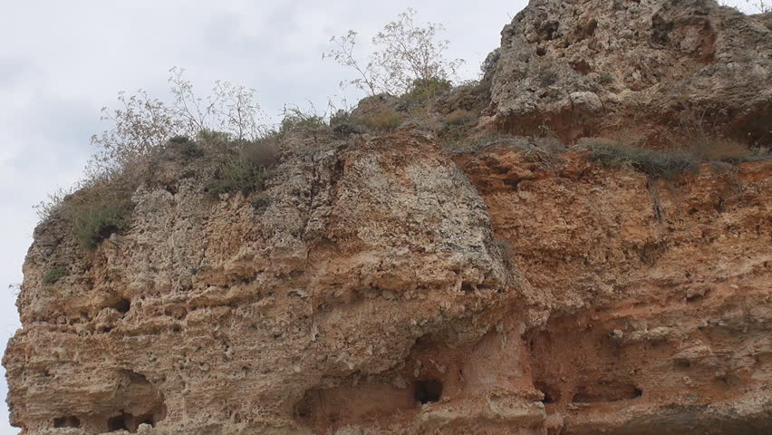 close up detail yellow sponge stone Stock Footage Video (100% Royalty ...